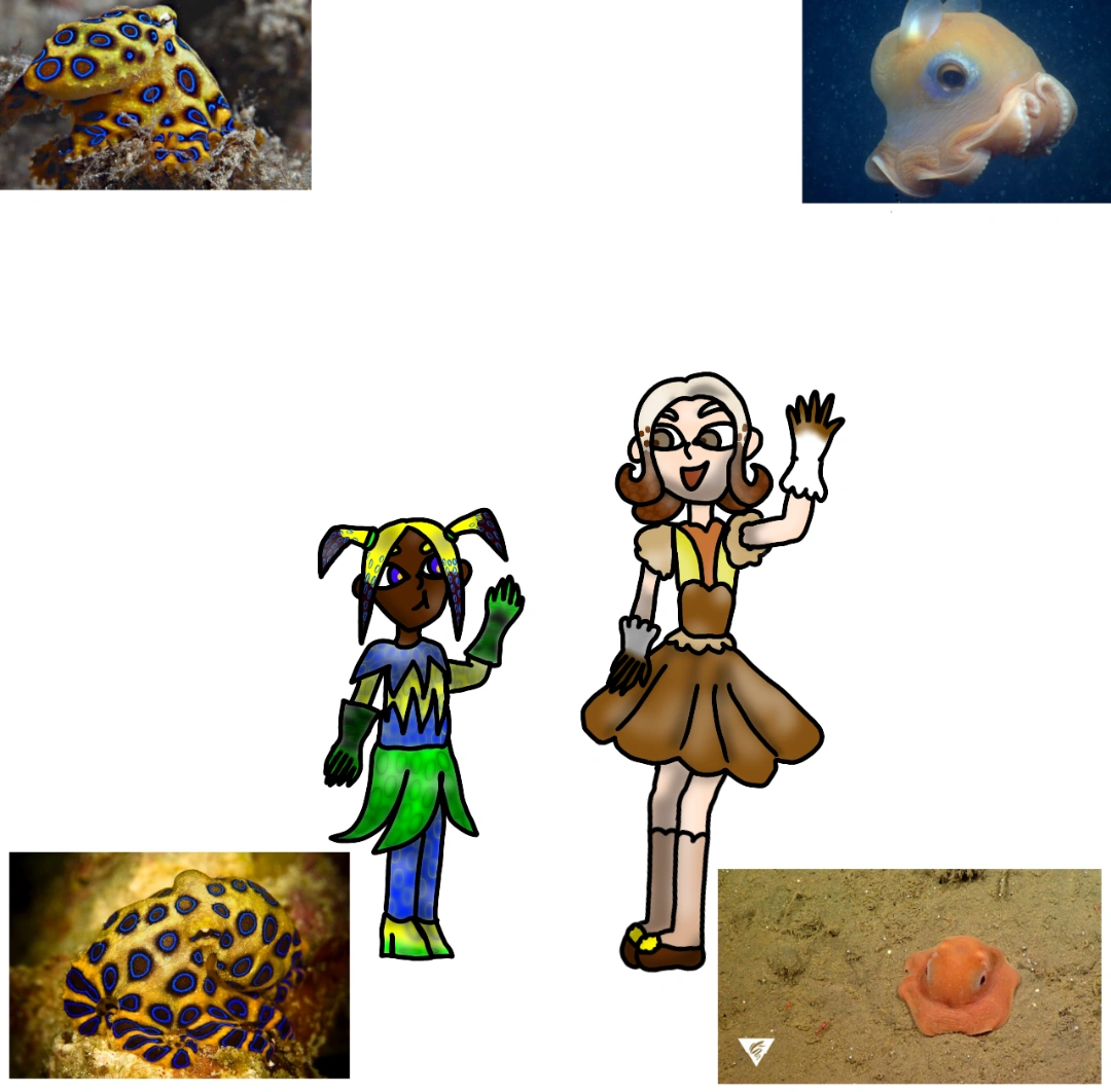 Blue-ringed octopus and flapjack octopus | Fandom