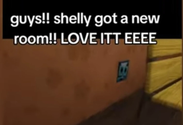 okay so I saw a video about Shelly’s room. | Fandom