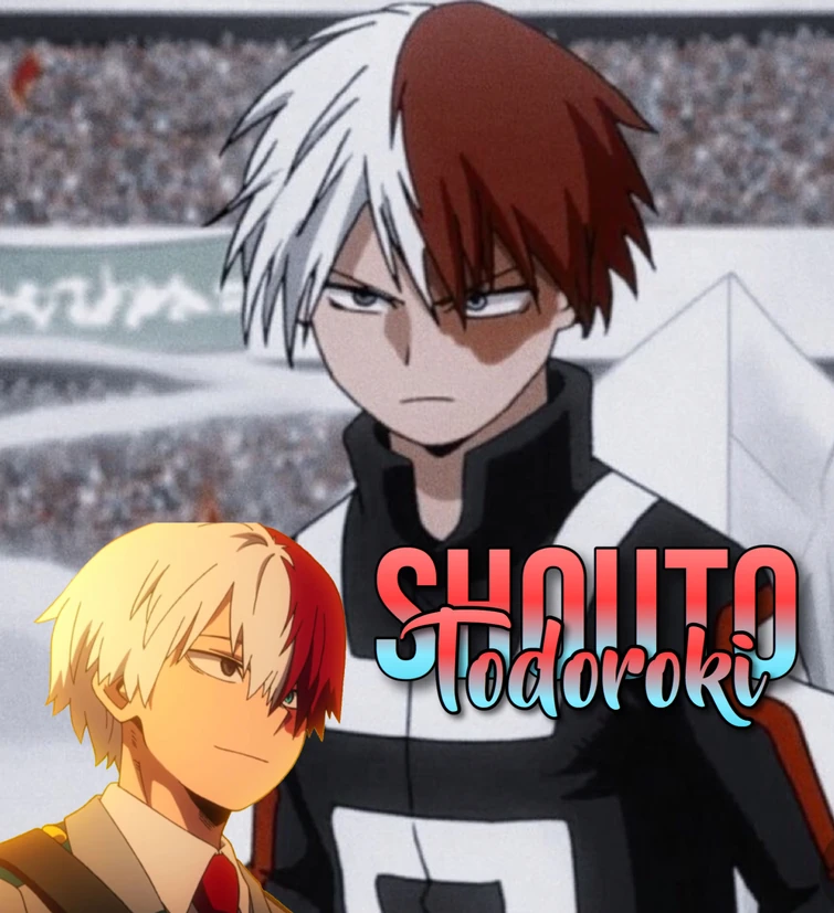Basic Shoto PFP Inspired by WeebInTheBasement34 | Fandom