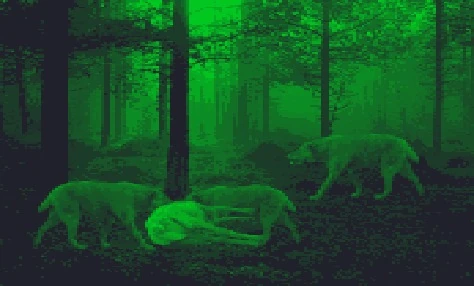 All eyes on Yellowstone. | Fandom