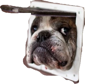 el bozo returns | Fandom