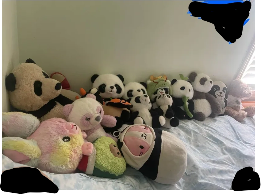 gyatt, look at my pandas | Fandom