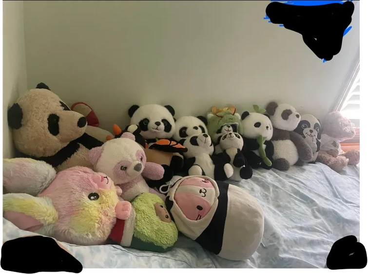 gyatt, look at my pandas | Fandom