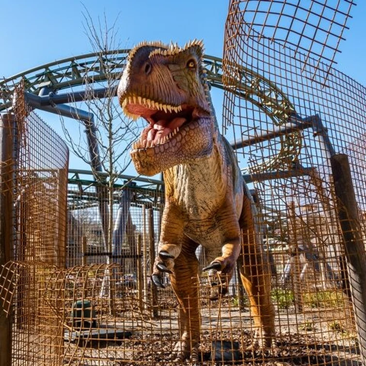 Rate This Animal - 29 | Fandom