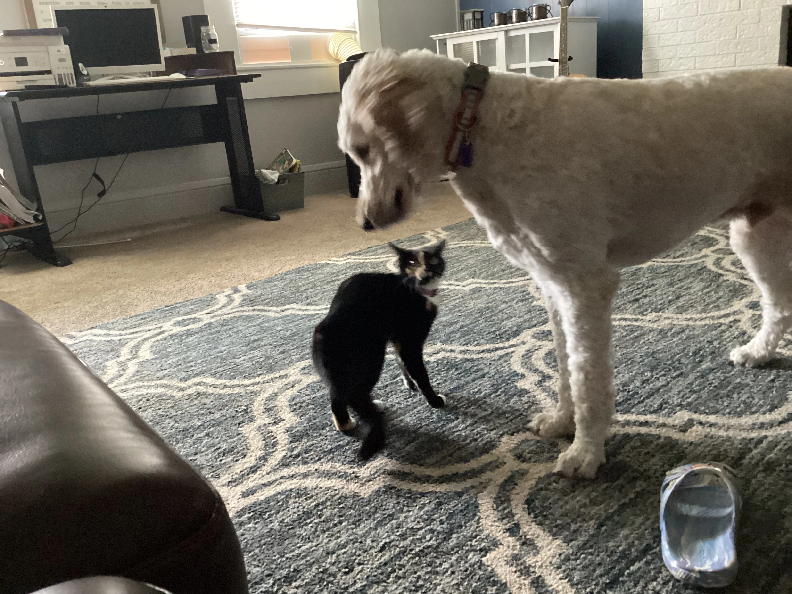 She keeps acting like she’s gonna get him and then ends up being all ...