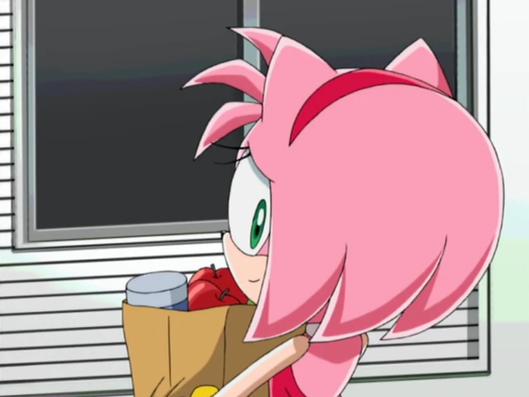 why is Amy Rose looking behind? [wrong answers only] | Fandom