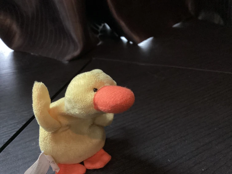 duck says hello | Fandom