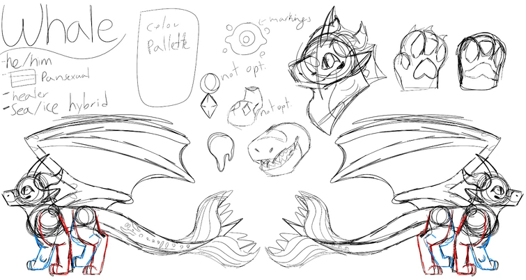 Whale ref sheet WIP | Fandom