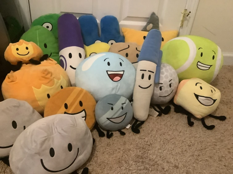 alright vros im making the bfdi wiki show | Fandom