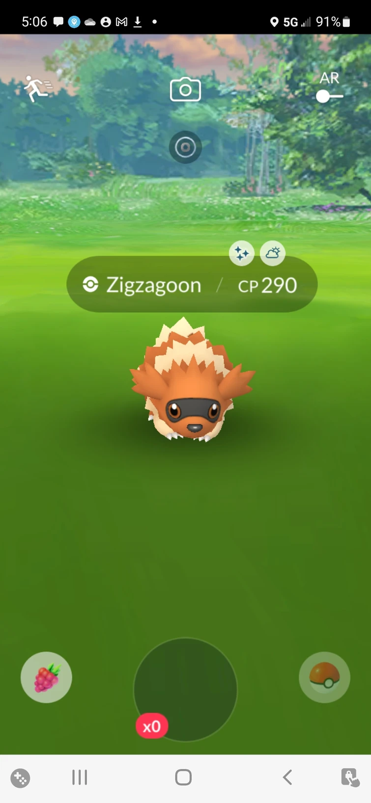 Over two years later, I finally got a second Shiny Hoennian Zigzagoon to evolve to Shiny Linoone ...