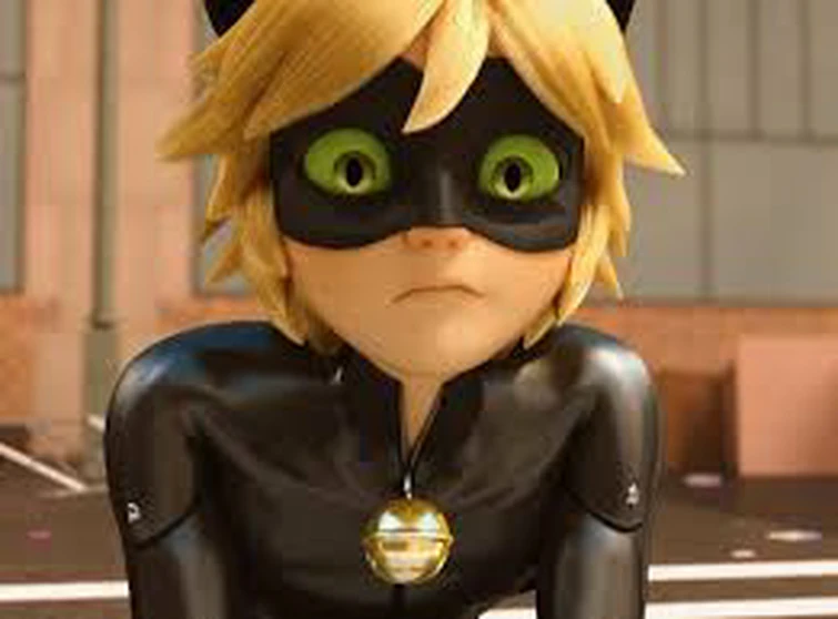 Cat noir | Fandom