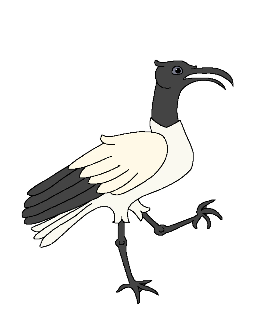 ibis | Fandom