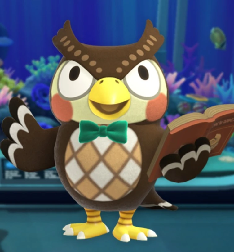 Discuss Everything About Animal Crossing Wiki | Fandom
