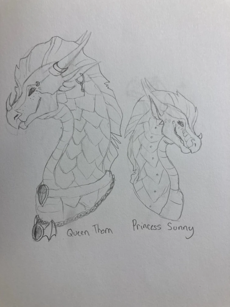 Discuss Everything About Wings of Fire Wiki | Fandom