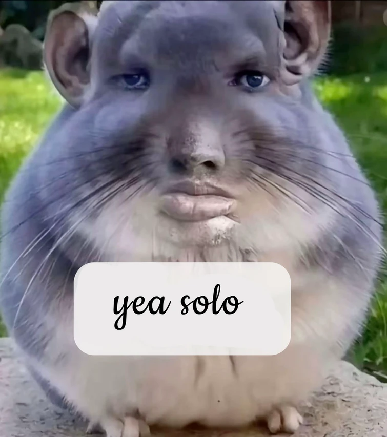 yea solo | Fandom