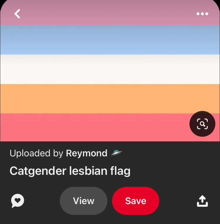 Does anyone know this flag? | Fandom