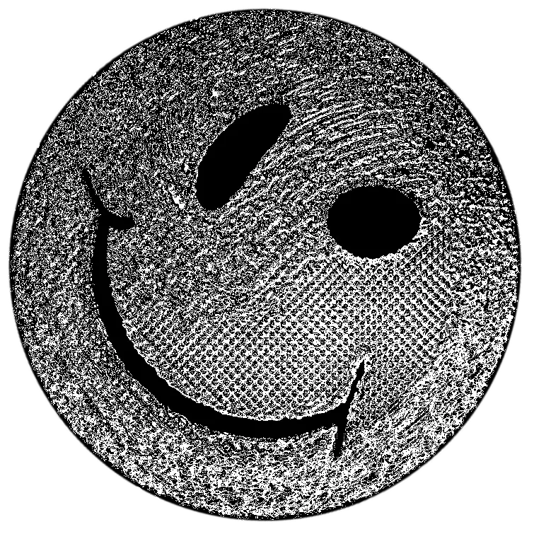 some species of enphosian from a post in june | Fandom