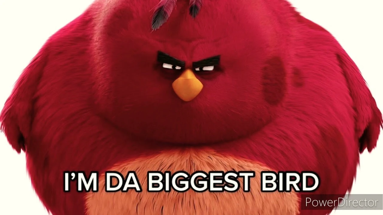 I don't think we realize how big the purchase of Angry Birds is. | Fandom