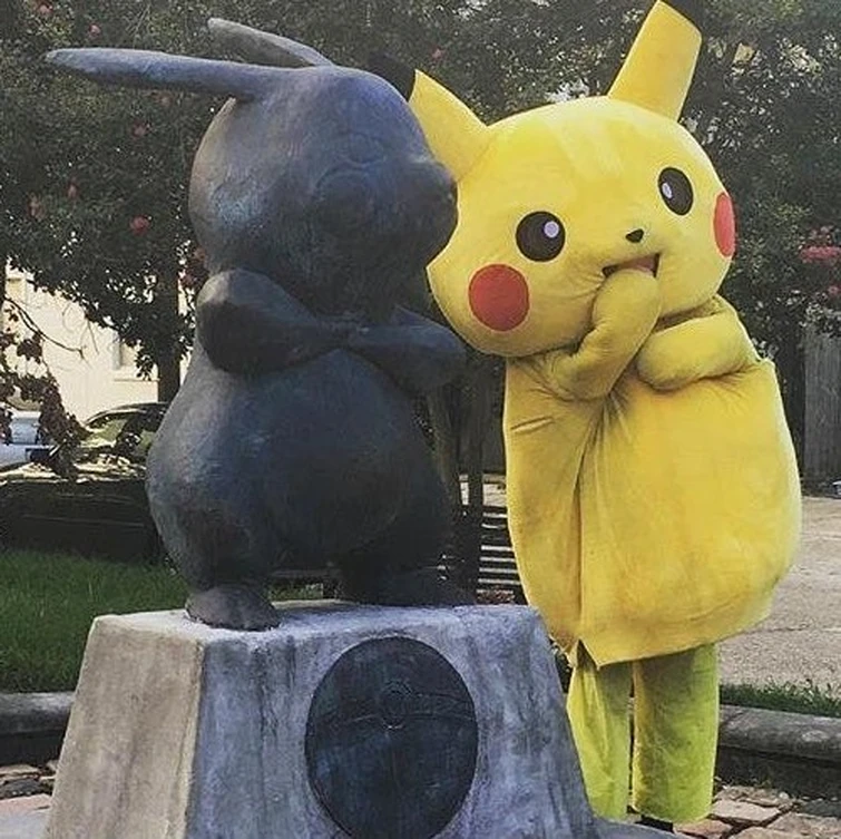 Pokemon - Pikachu Park | Fandom