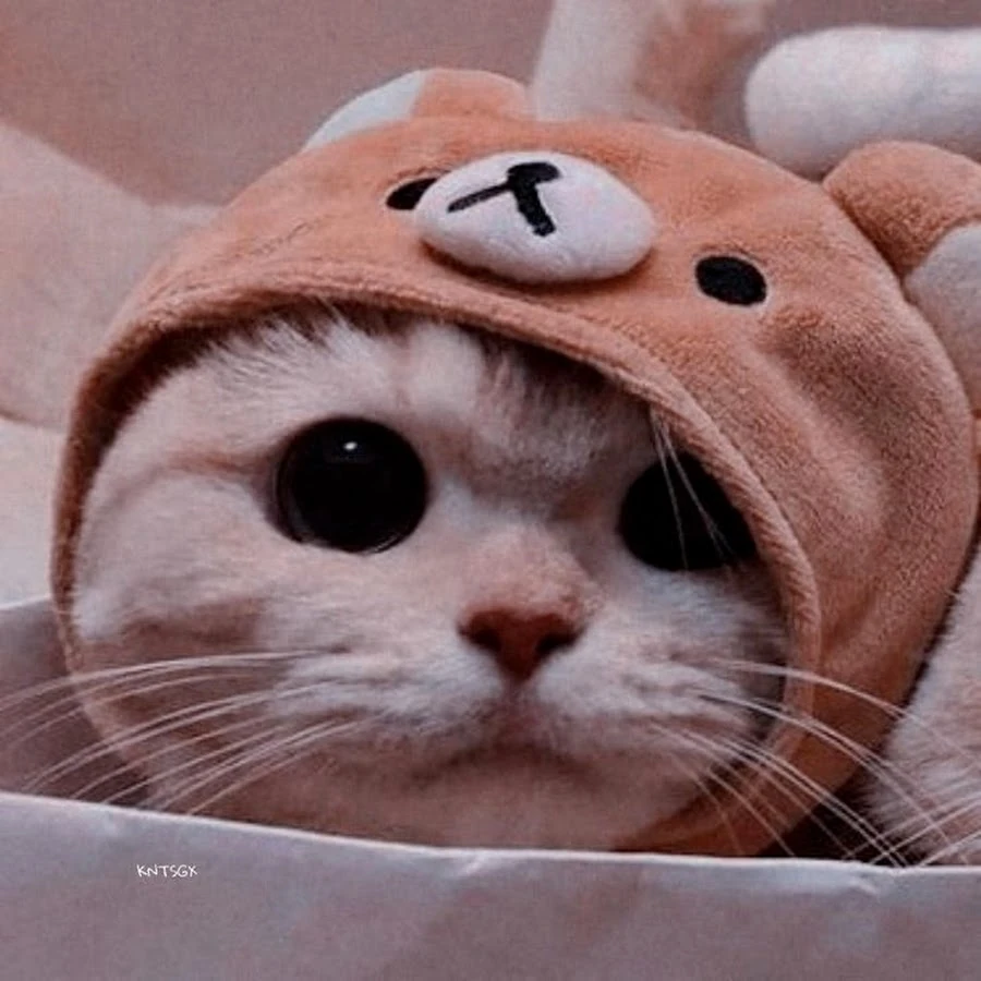 New Liminality Track Drop | Fandom