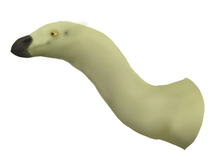 Rauisuchia (yes I know rauisuchia is an obsolete group) | Fandom