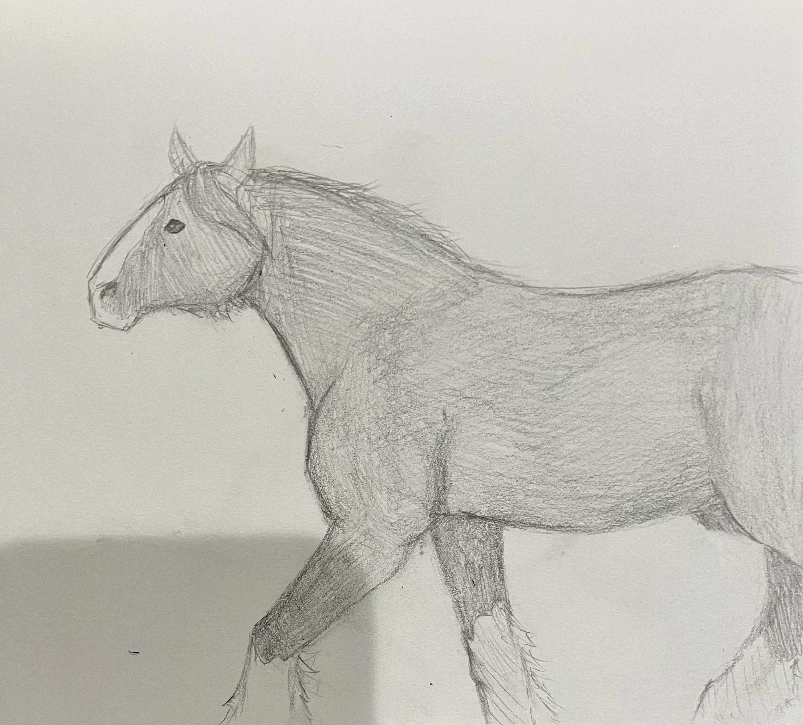 Shire drawing | Fandom