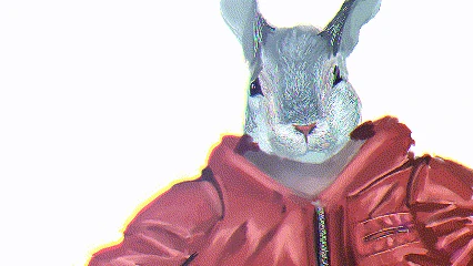 rabbit species | Fandom