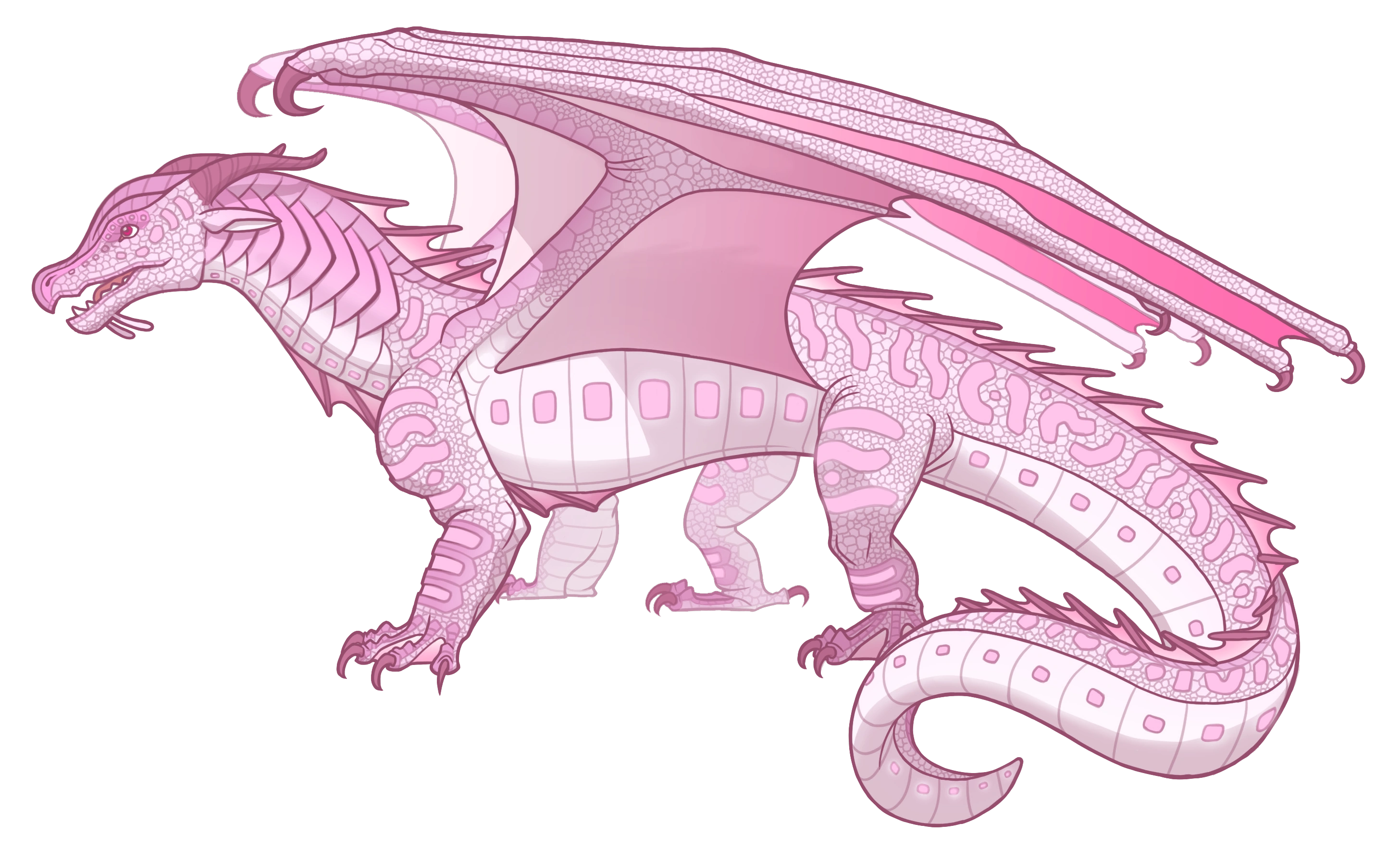 Light Pink SeaWing | Raffle | Fandom
