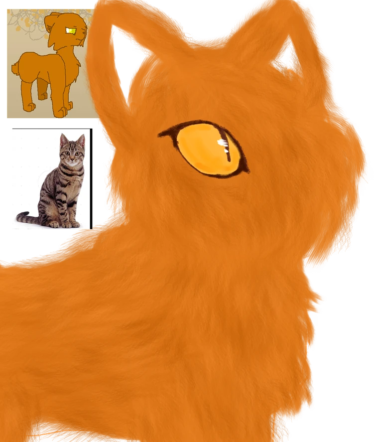 Discuss Everything About West Woods Wiki | Fandom