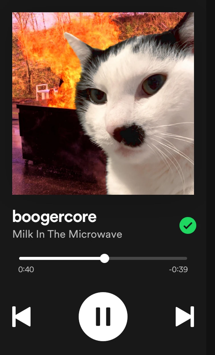 this is my new favourite song | Fandom