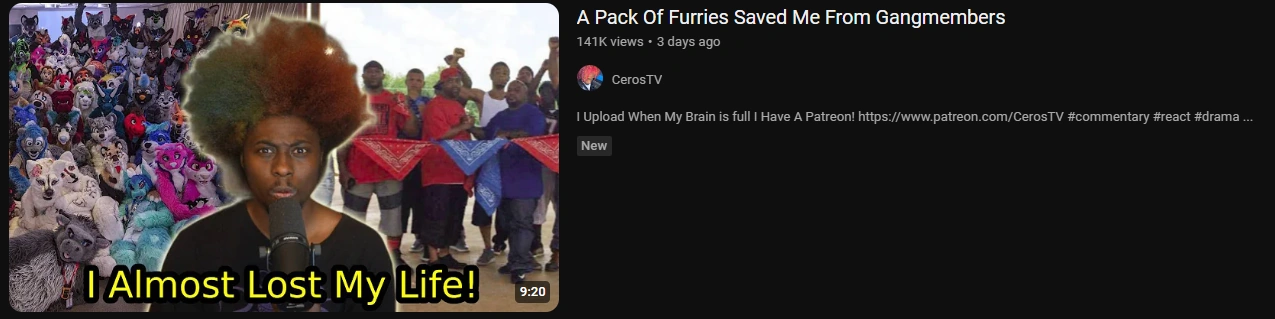 furry yakuza | Fandom
