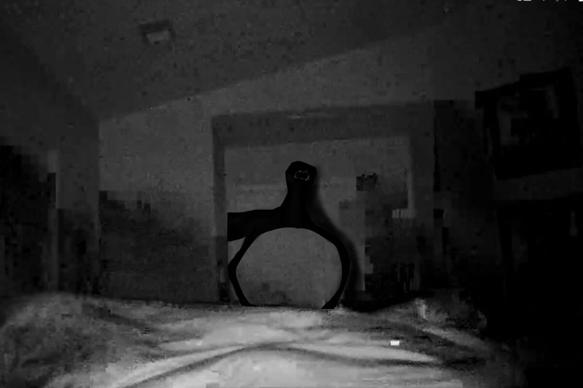 Thoughts on my entity? | Fandom