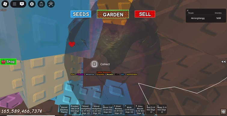 raccoon method | Fandom