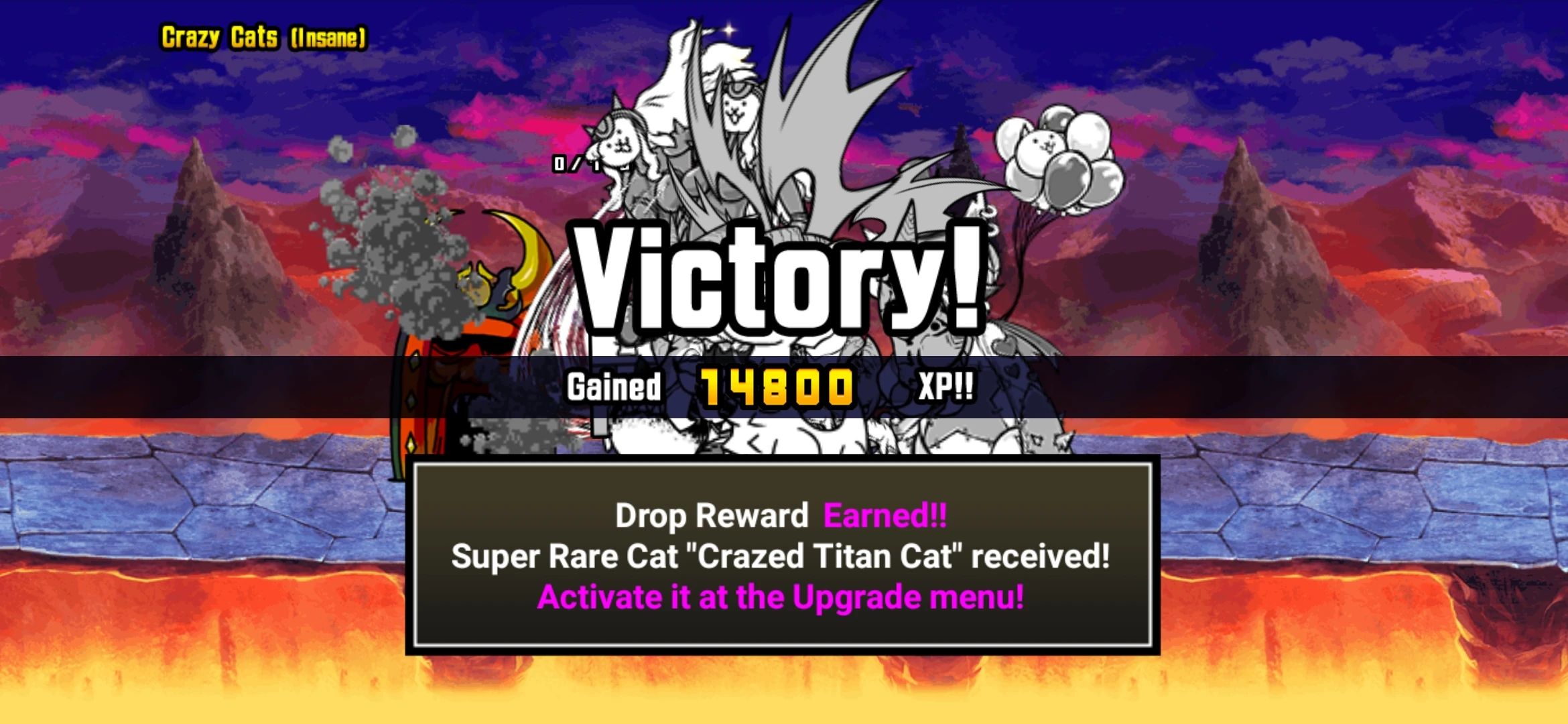 3 crazed cats in 2 days | Fandom