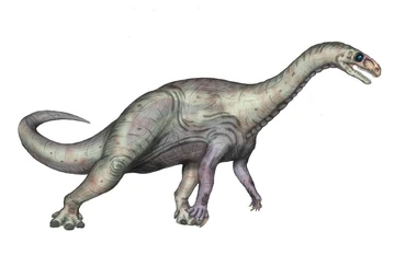 Discuss Everything About Dinopedia | Fandom