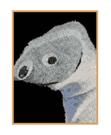 Most forgettable character? | Fandom