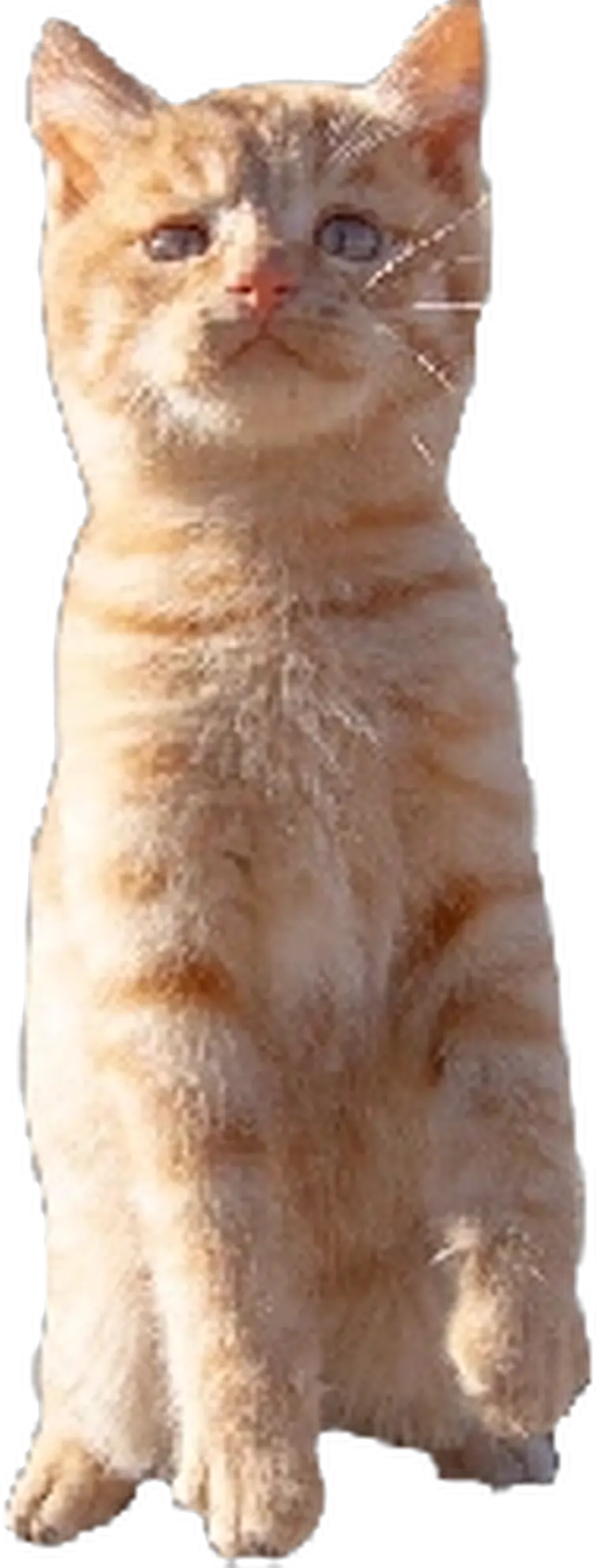 All posts by Number1GrimFoxyFan | Fandom