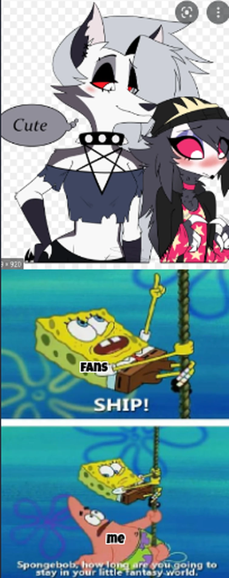 random meme | Fandom