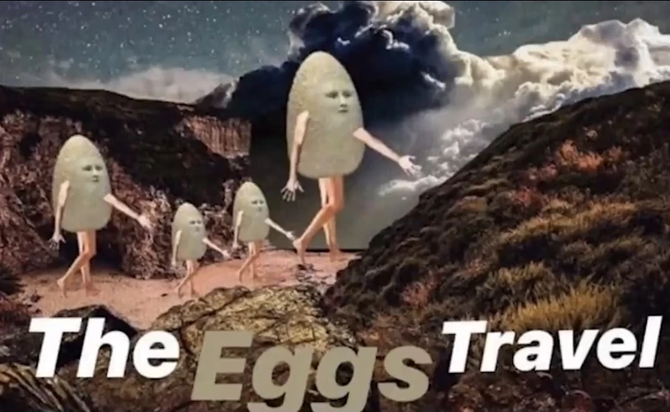 Daily Shit Post 28 | Fandom