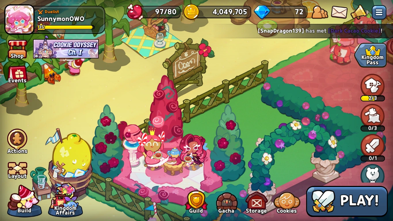 Raspberry and princess cookie! | Fandom