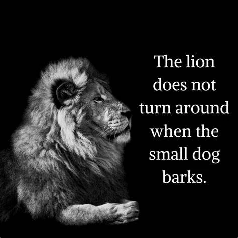 i have bought 4k rbx =] what are the best perms to get | Fandom