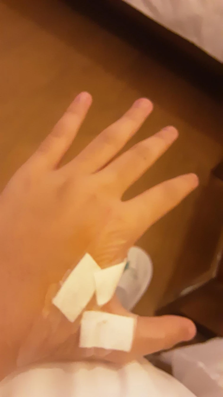 A cat scratched me on my bday | Fandom