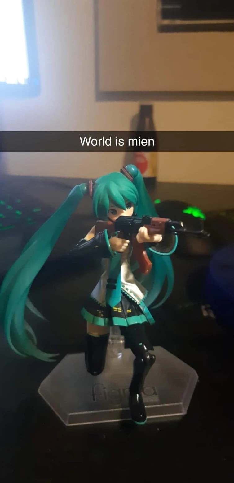 Posting a random Miku meme until my Miku wig comes | Fandom