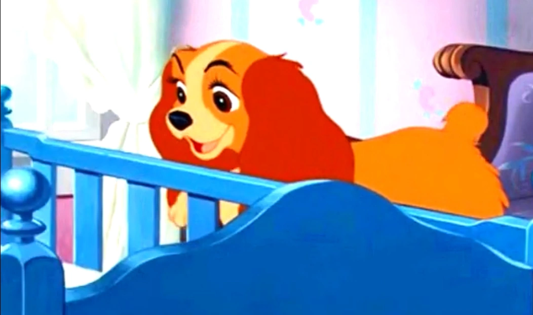 Lady and the crib | Fandom