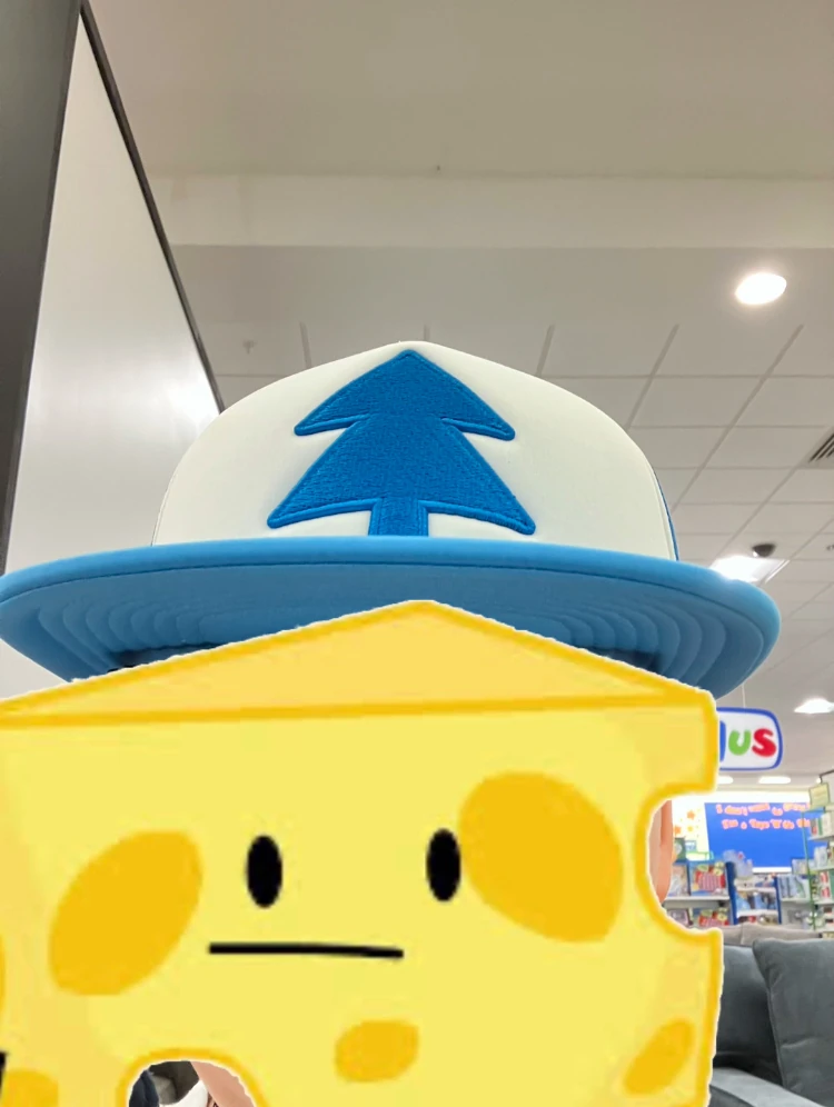 I got a dipper hat in the mall idk | Fandom