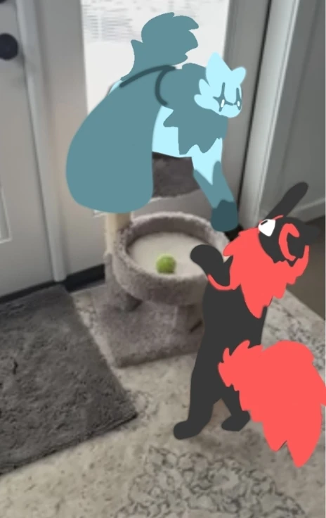 A new challenger appears, seek cat! (Part 6) | Fandom