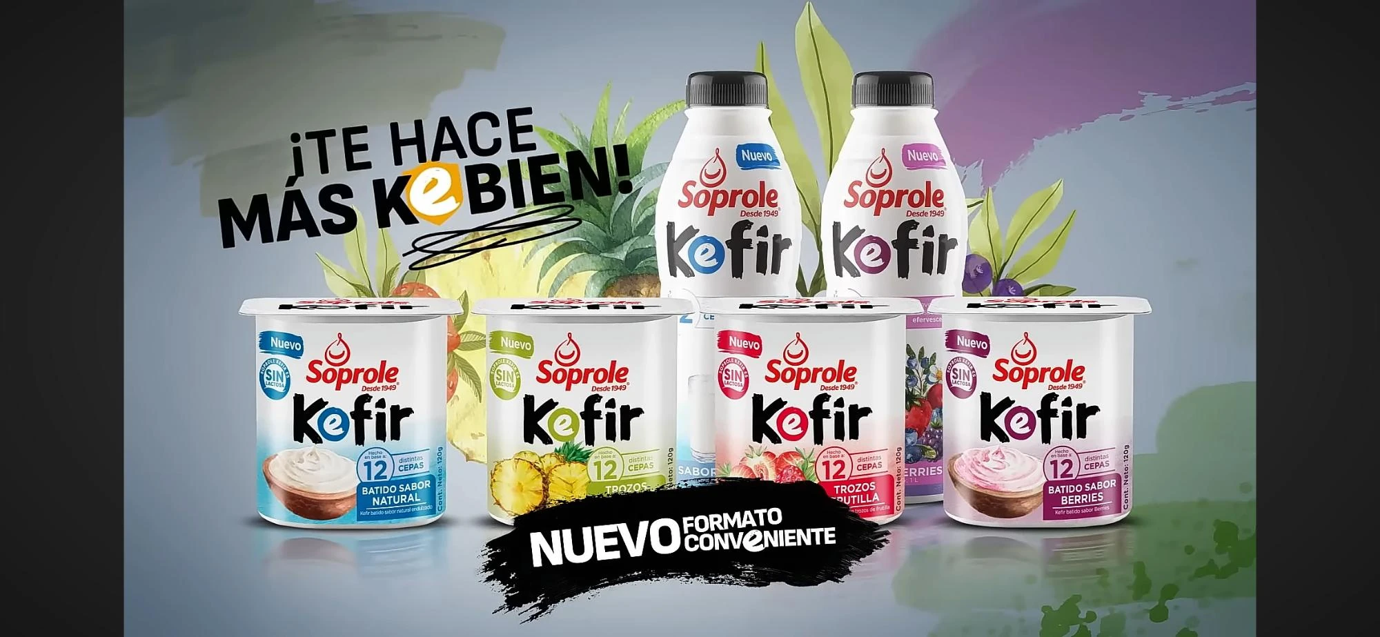 Soprole Kefir Cartoon | Fandom