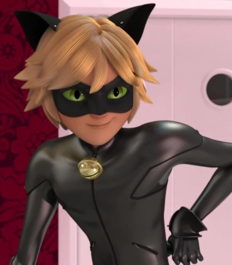 Chat noir smiling to brighten up your day | Fandom