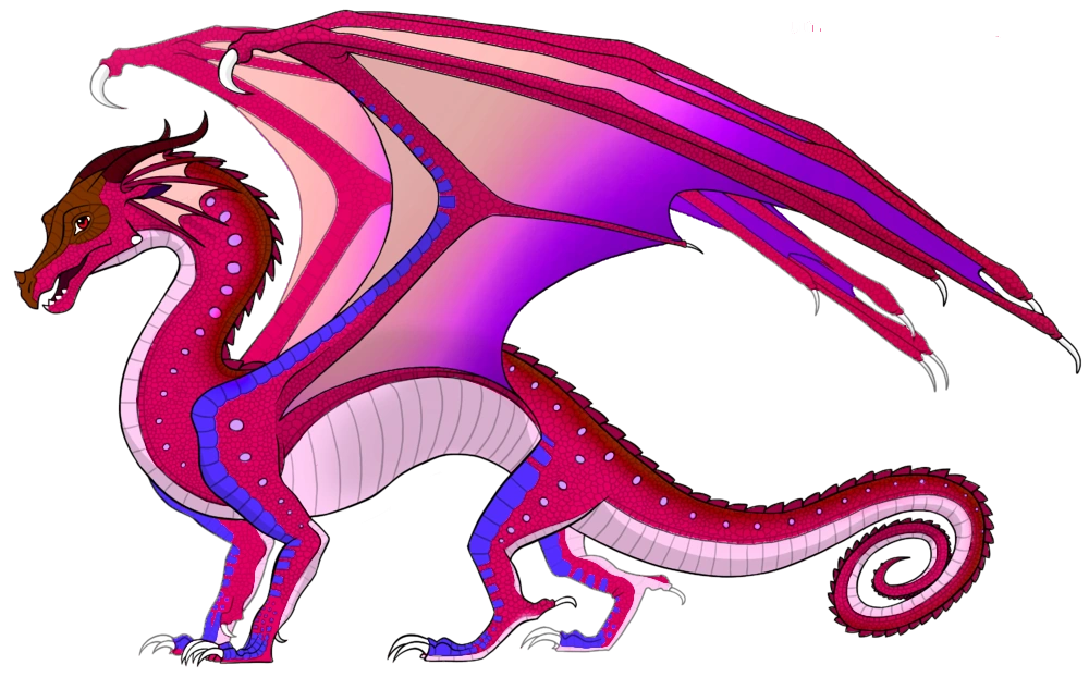 KitKat's Joy Ang raffle! (RainWing edition!) | Fandom