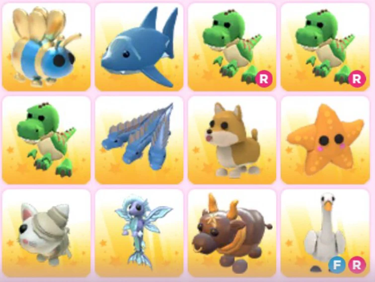 LF kangaroos/turtles | Fandom